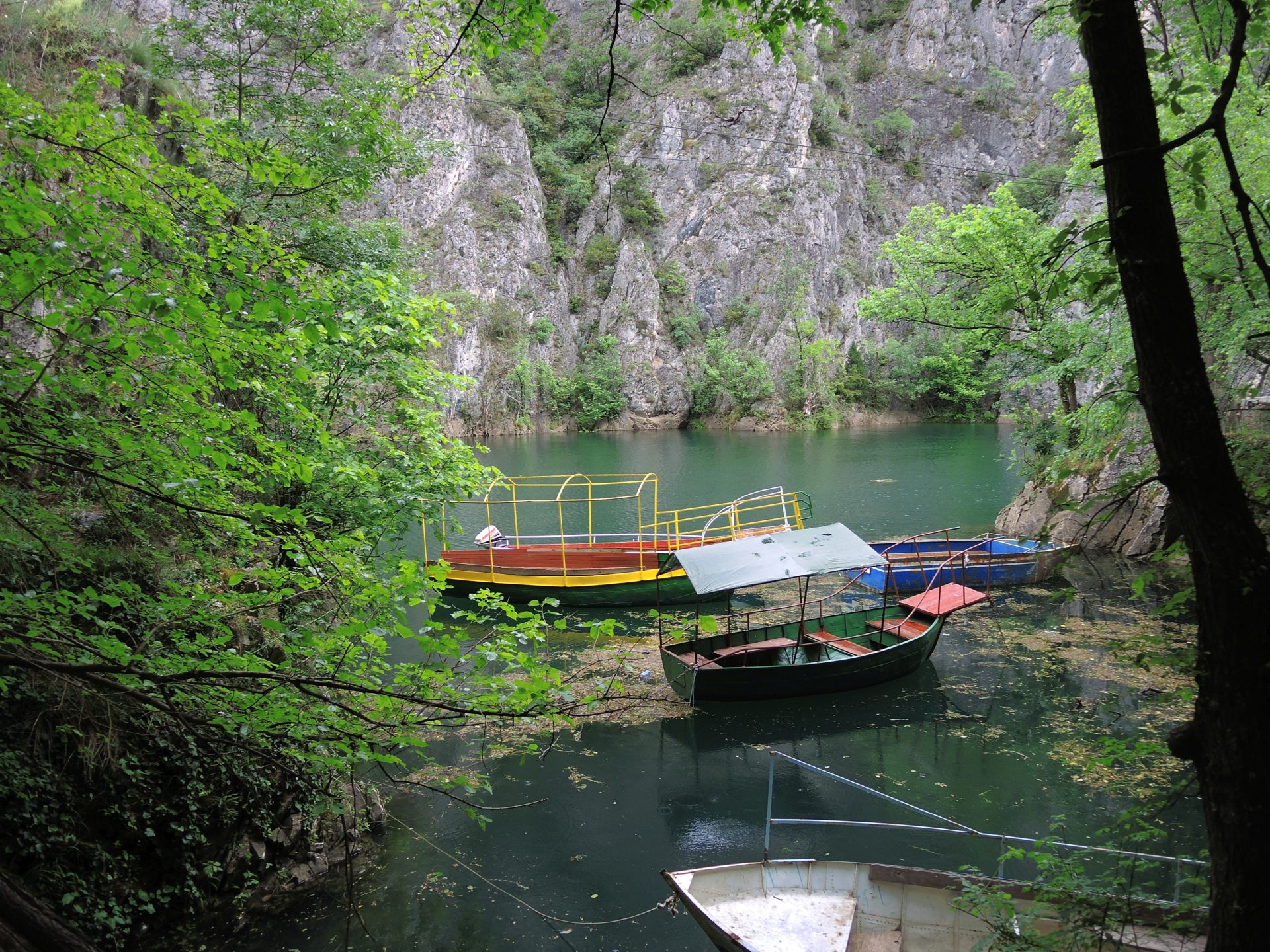 Nord-Makedonia - Den norske Helsingforskomité