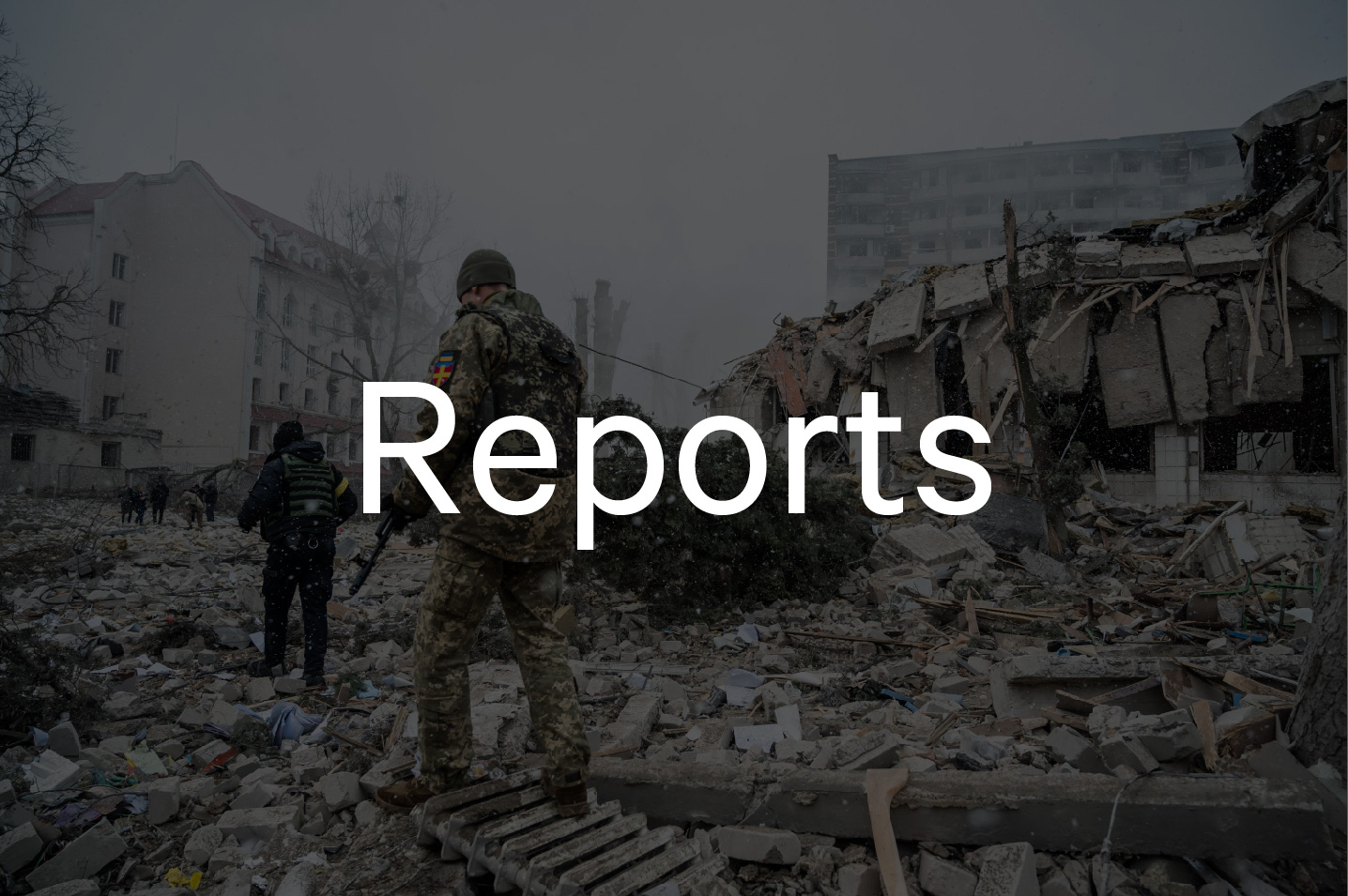 Reports - Norwegian Helsinki Committee